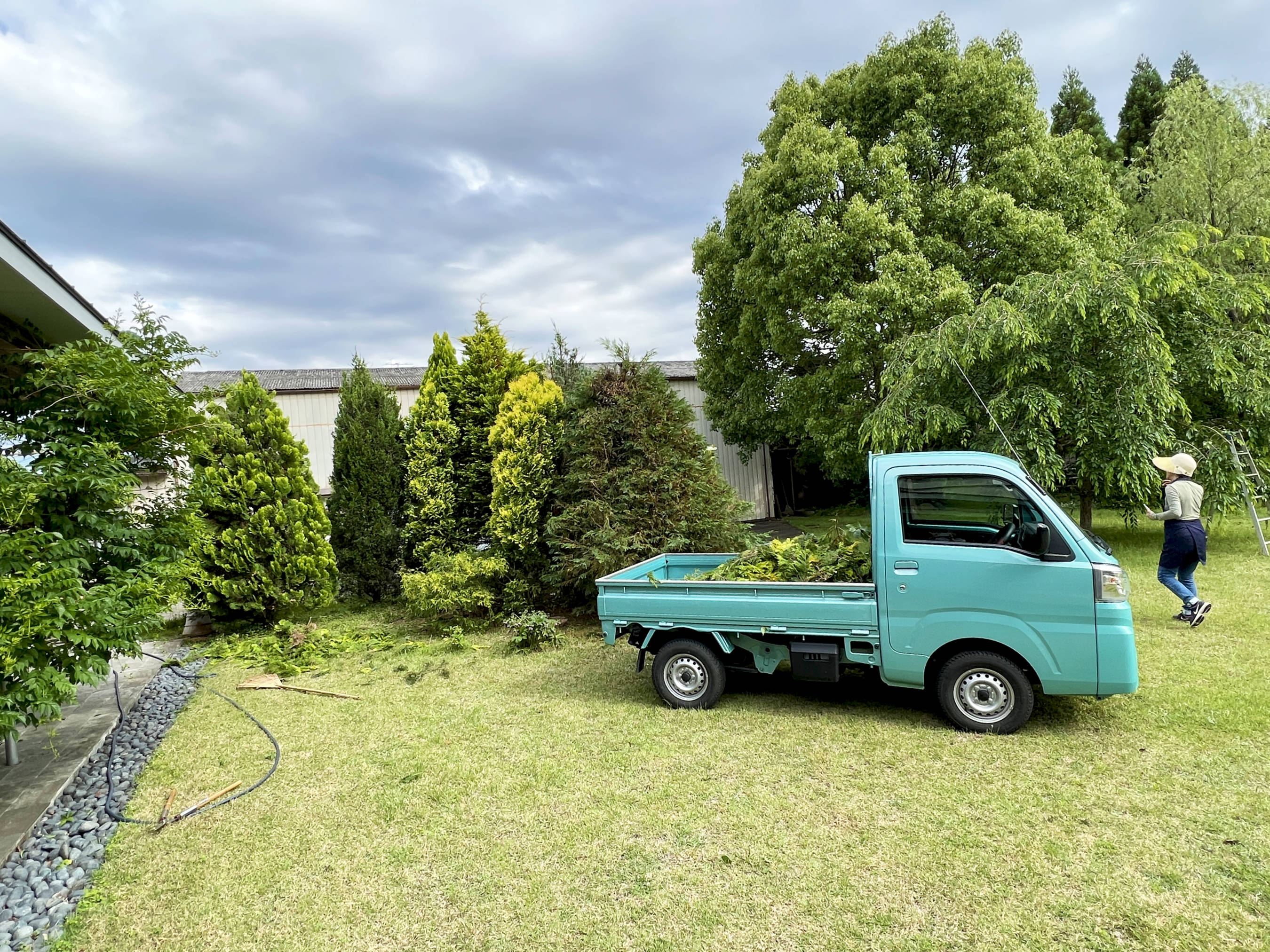 〔how to plan〕コニファーの剪定とブルーの軽トラ | FEDL | 東京の建築設計事務所