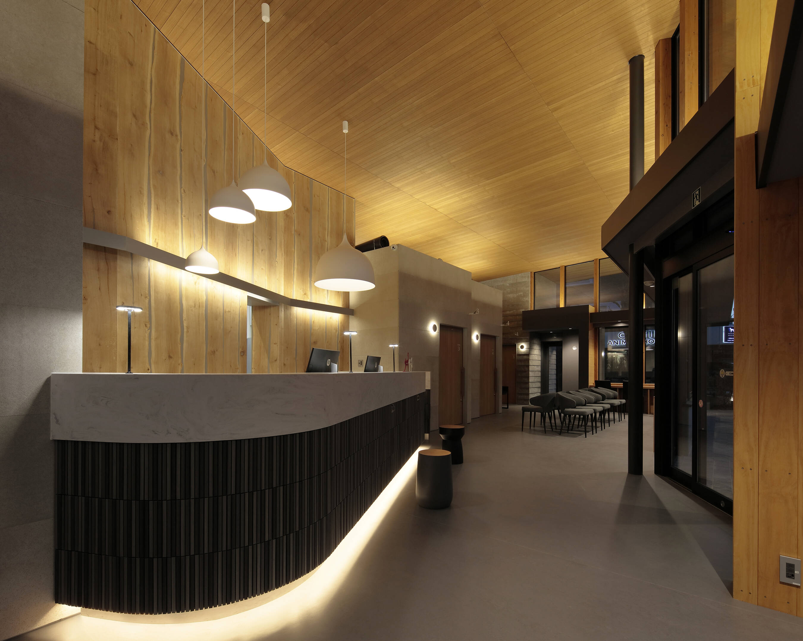 〔Column〕動物病院設計の今〜未来 | FEDL | 東京の建築設計事務所